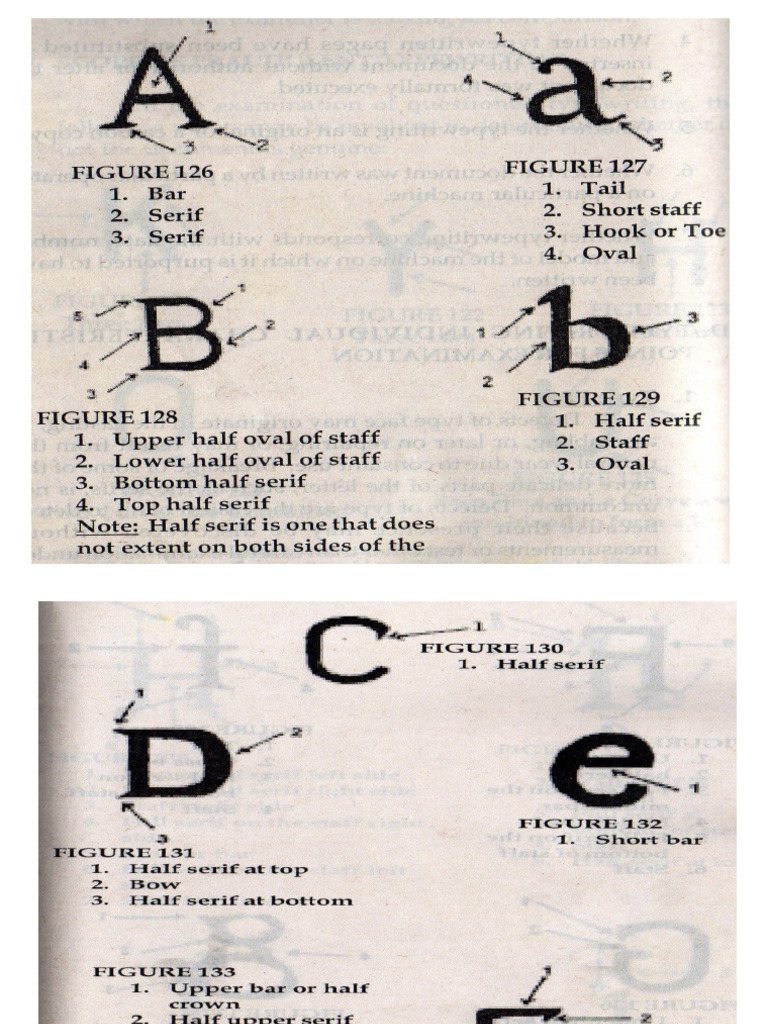 Parts of Type Characters | PDF