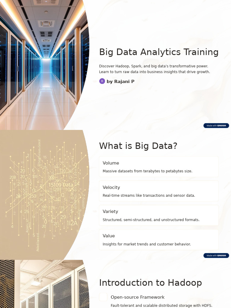 Big Data Analytics Training | PDF | Apache Spark | Apache Hadoop