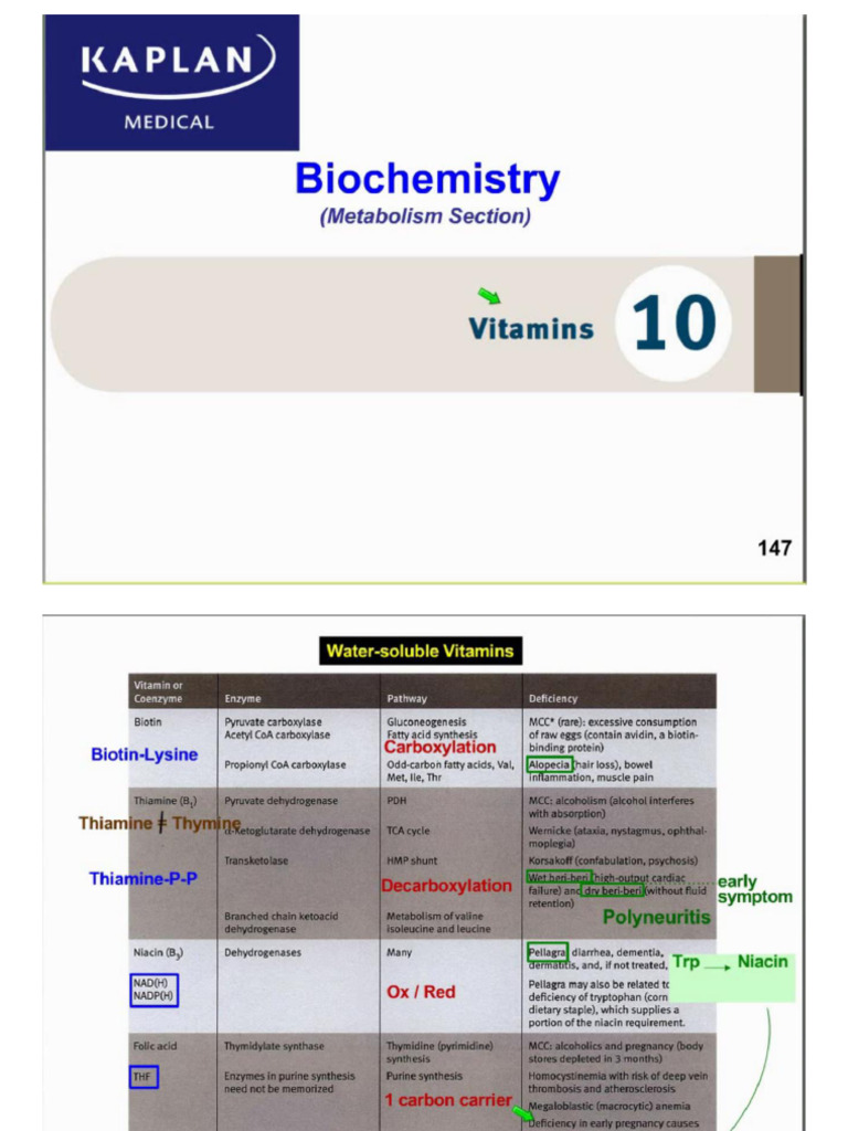 Vitamins | PDF