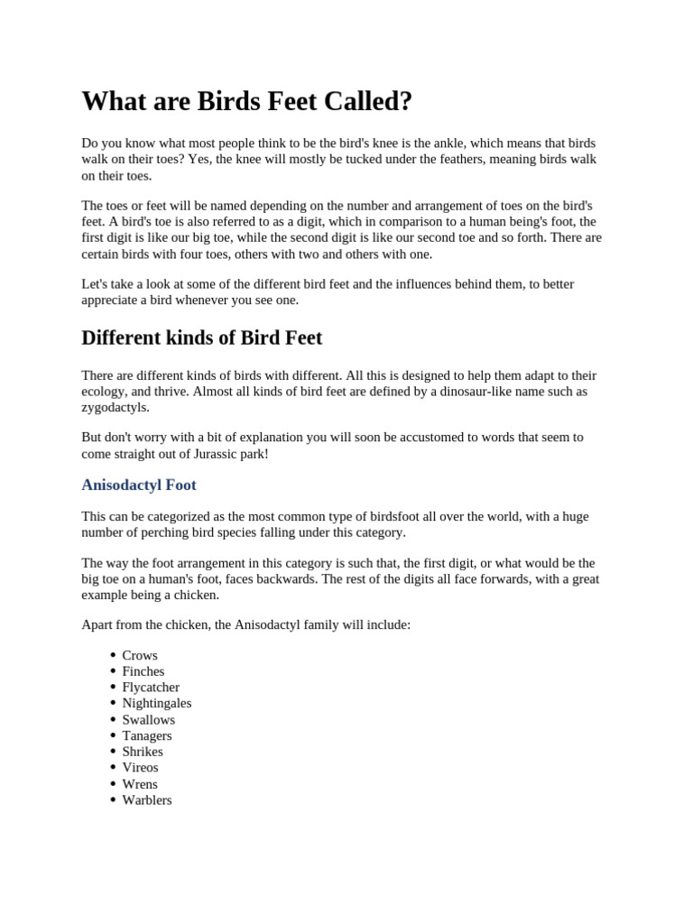 What are Birds Feet Called fin | PDF | Birds | Claw