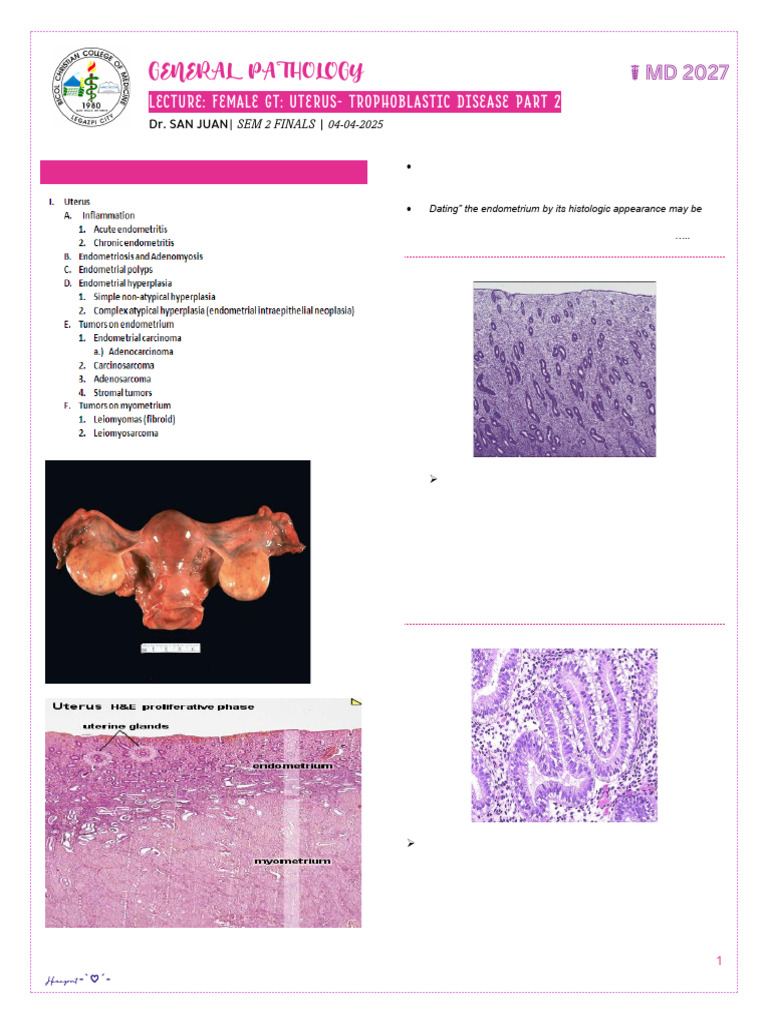 FGT Pathology Part 2 - Uterus & Trophoblast | PDF | Ovarian Cancer | Ovary