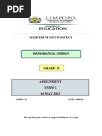 2025 Maths Lit GRD 11 Term 2 Assignment | PDF | Economies
