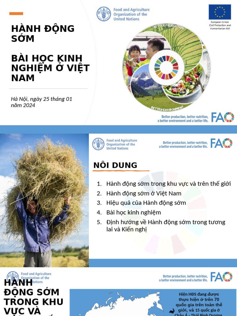 3. FAOR - Anticipatory Action in Vietnam V | PDF