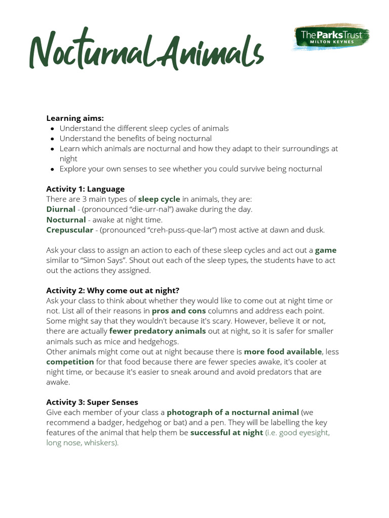 TR Nocturnal Animals ks1 and 2 | PDF | Senses | Zoology