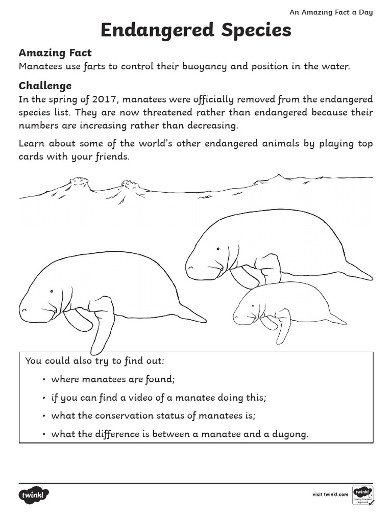 Activity Sheet | PDF