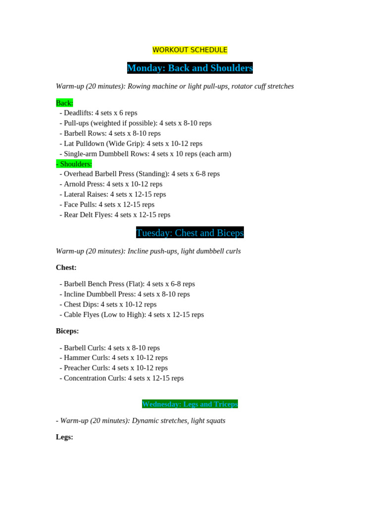Professional Bodybuilding Workout Schedule | PDF