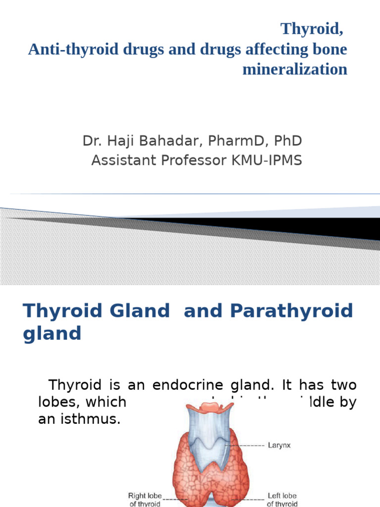 Thyroid and Antithyroid Drugs | PDF | Thyroid | Hyperthyroidism