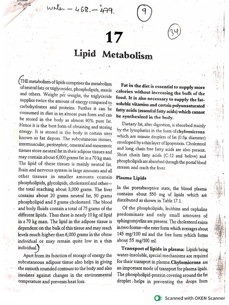 Lipids - Oxidation, Biosynthesis | PDF