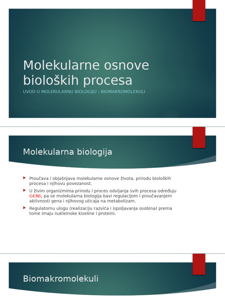 Molekularna Biologija | PDF