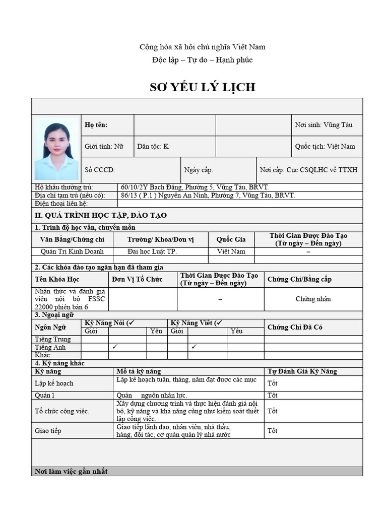 CV-Ly Bich Tram | PDF