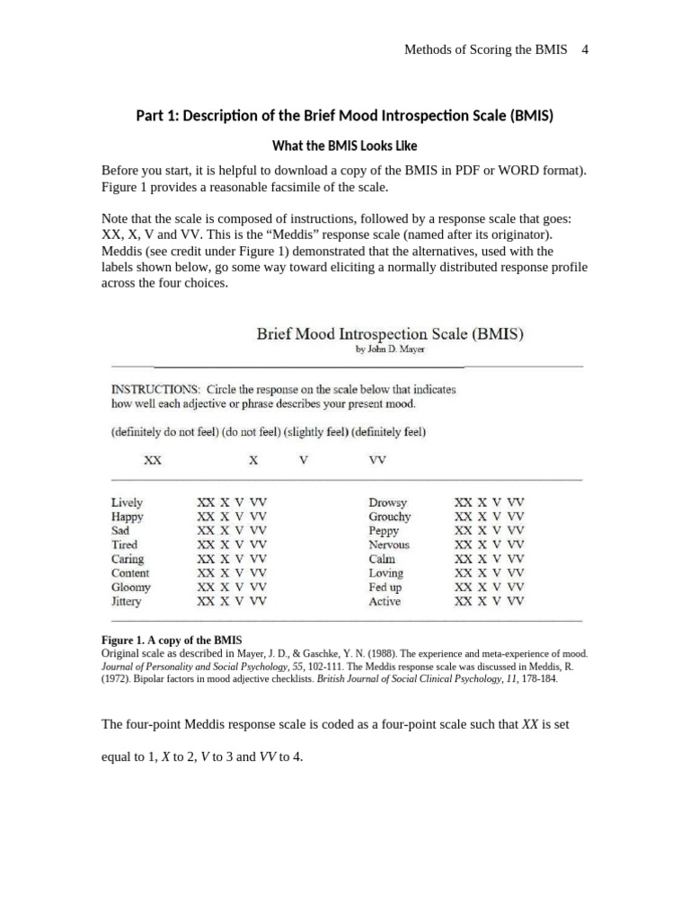 Scoring Methods for the BMIS | PDF