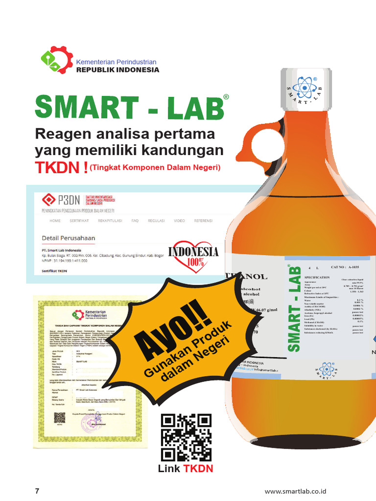 ISI Company Profile Overview | PDF | Methanol | Materials