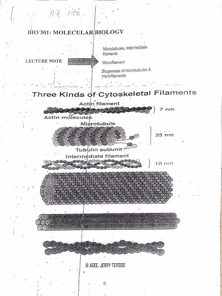 Bio 301 Biogenesis | PDF