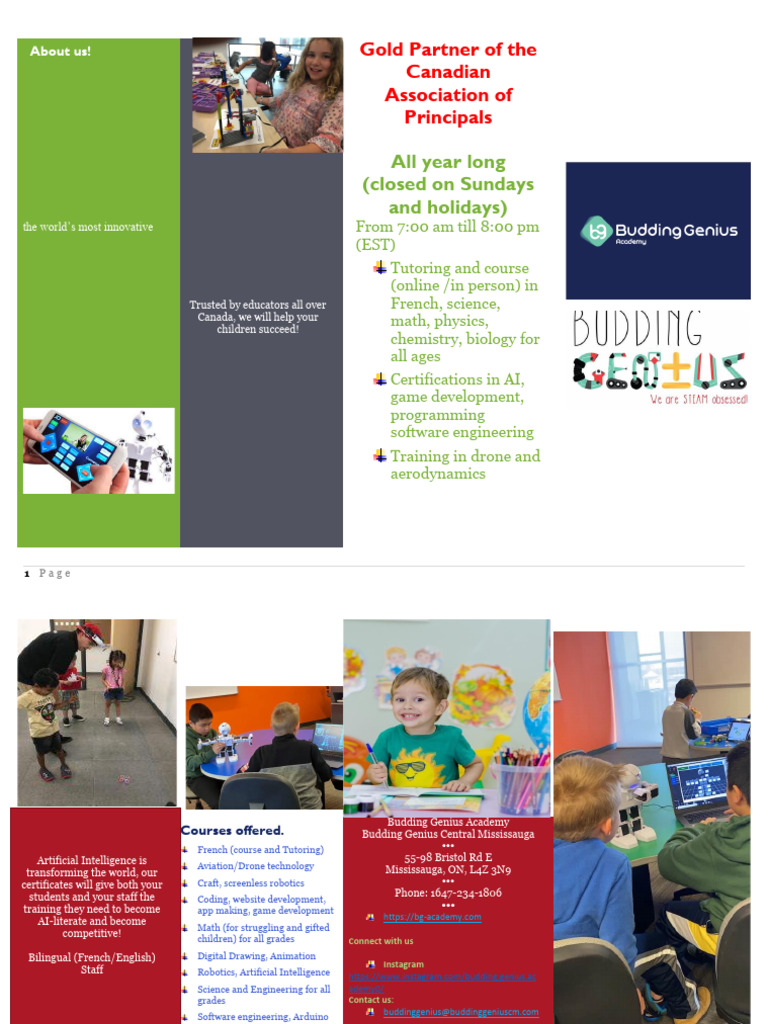 French-and-STEAM-Budding-Genius-Academy | PDF