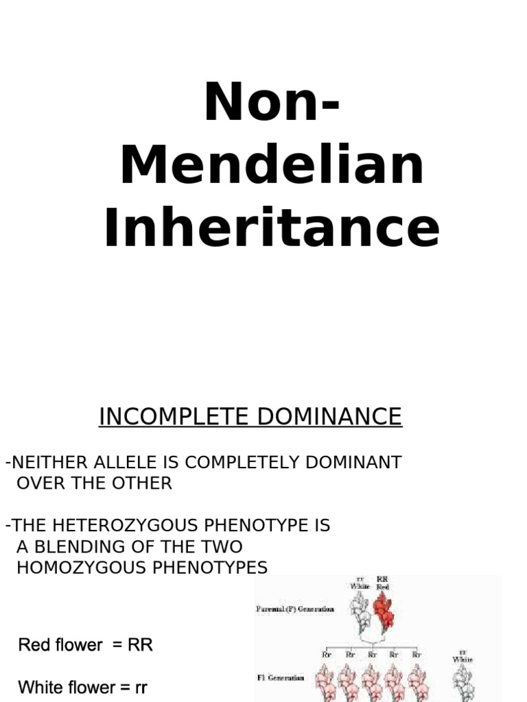 Non-Mendelian Genetics | PDF | Dominance (Genetics) | Genotype