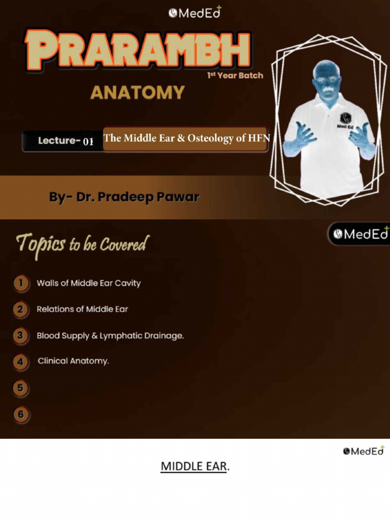 67eeada71f05d247250f3ec1 - ## - The Middle Ear & Osteology of HFN 01 ...