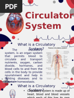 Circulatory System ICSE Notes | PDF | Heart | Circulatory System