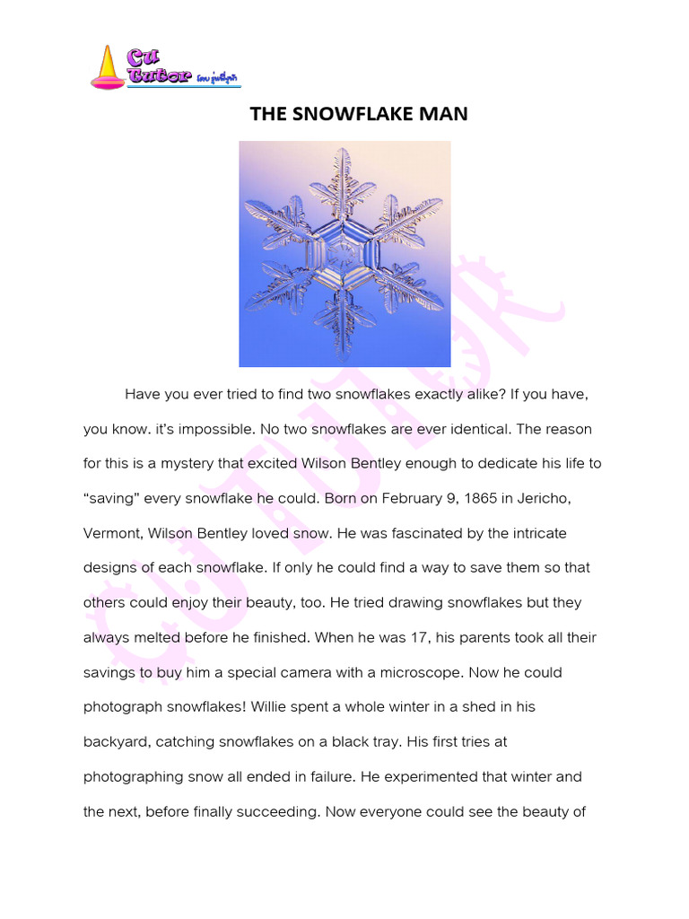 The Snowflake Man | PDF