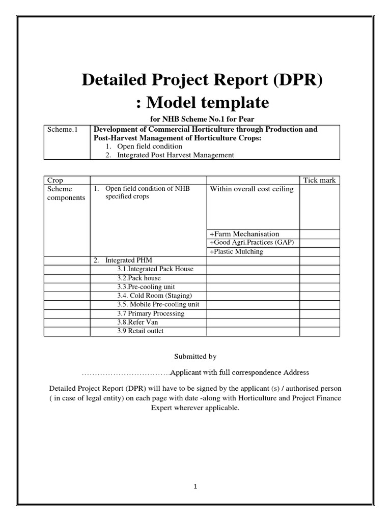 DPR New Format | PDF | Internal Rate Of Return | Net Present Value