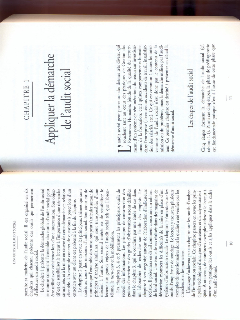 Les Outils de L'audit Social | PDF