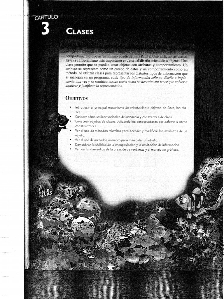 Cap03 - Clases | PDF