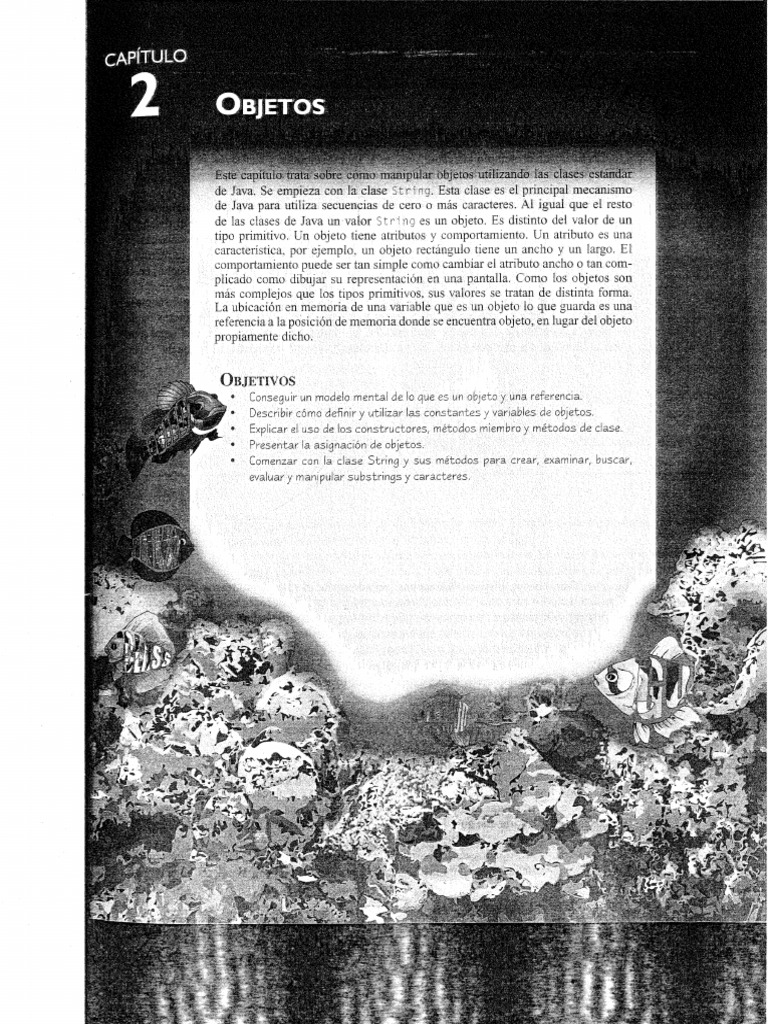 Cap02 - Objetos | PDF