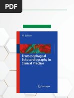 TTE TEE Report Template | PDF