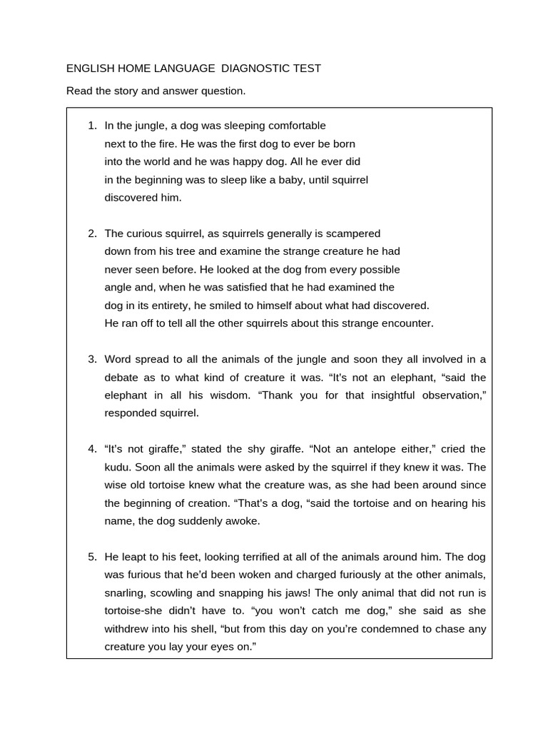 English Home Language Diagnostic Test | PDF