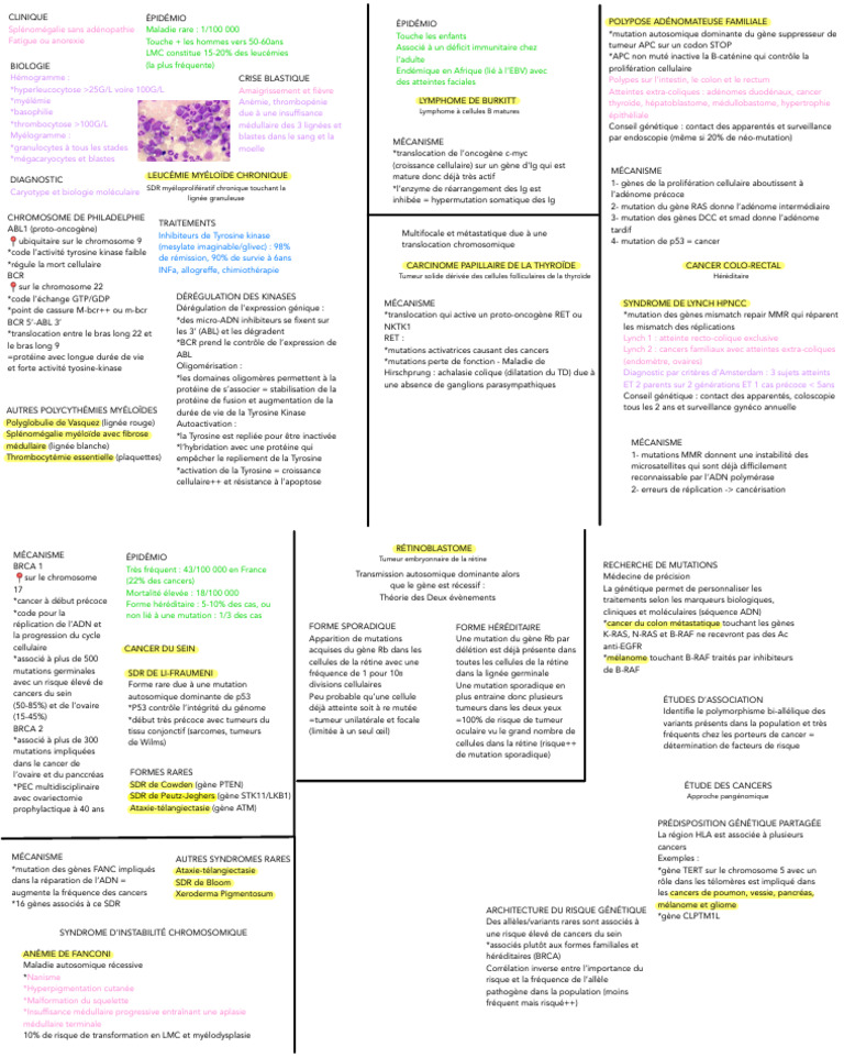 Leucémie Myéloïde Chronique : Diagnostic et Traitements | PDF | Cancer ...