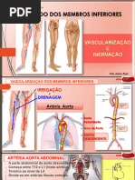 11 - Região Poplítea | PDF | Joelho | Anatomia humana
