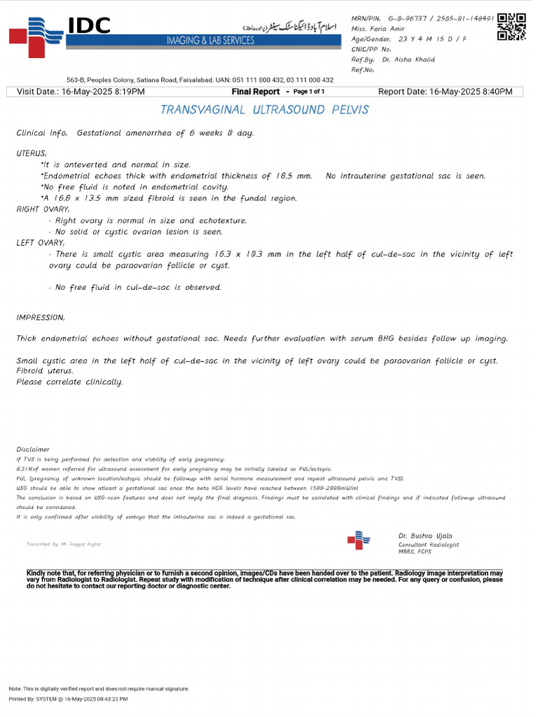 Patient Report PDF | PDF