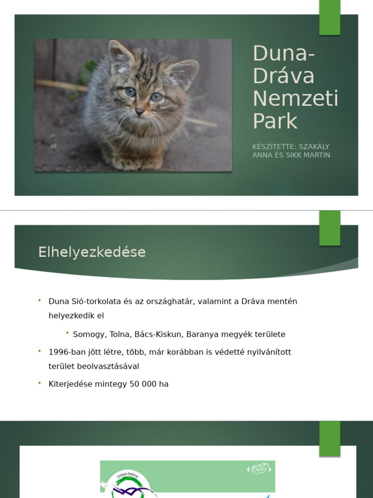 Duna-Dráva Nemzeti Park | PDF