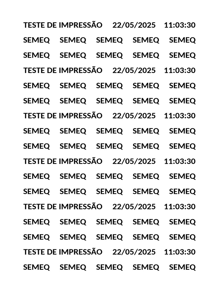 Teste de Impressão SEMEQ 22/05/2025 | PDF