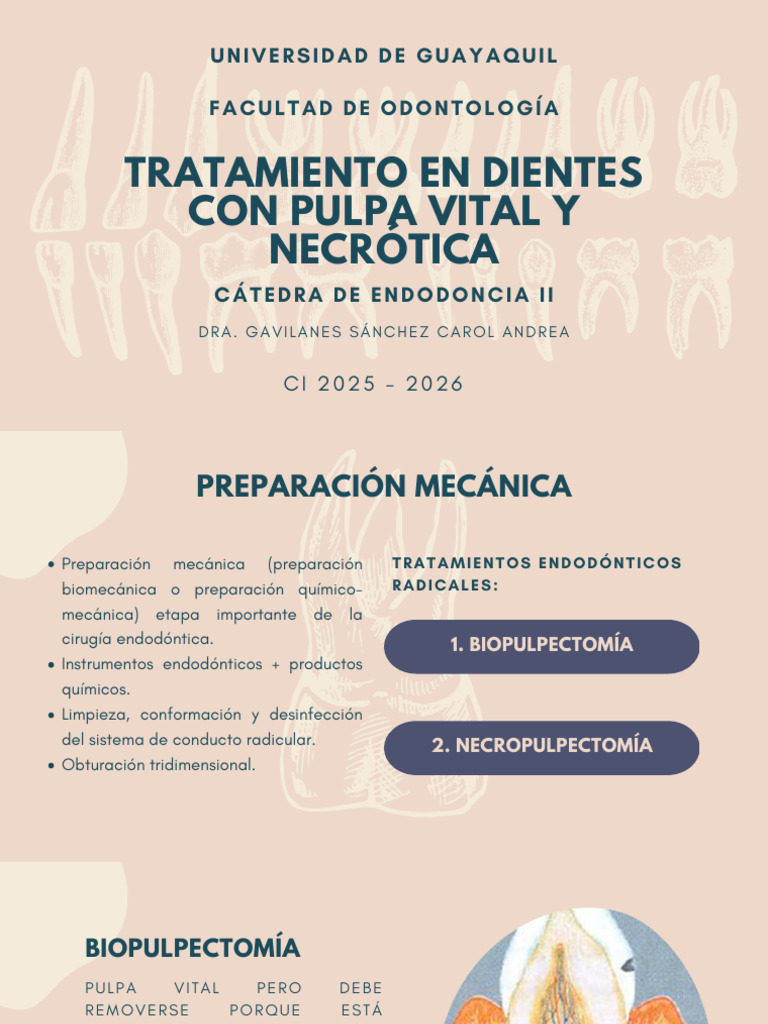 Tratamiento Endodóntico Bio y Necropulpectomía | PDF