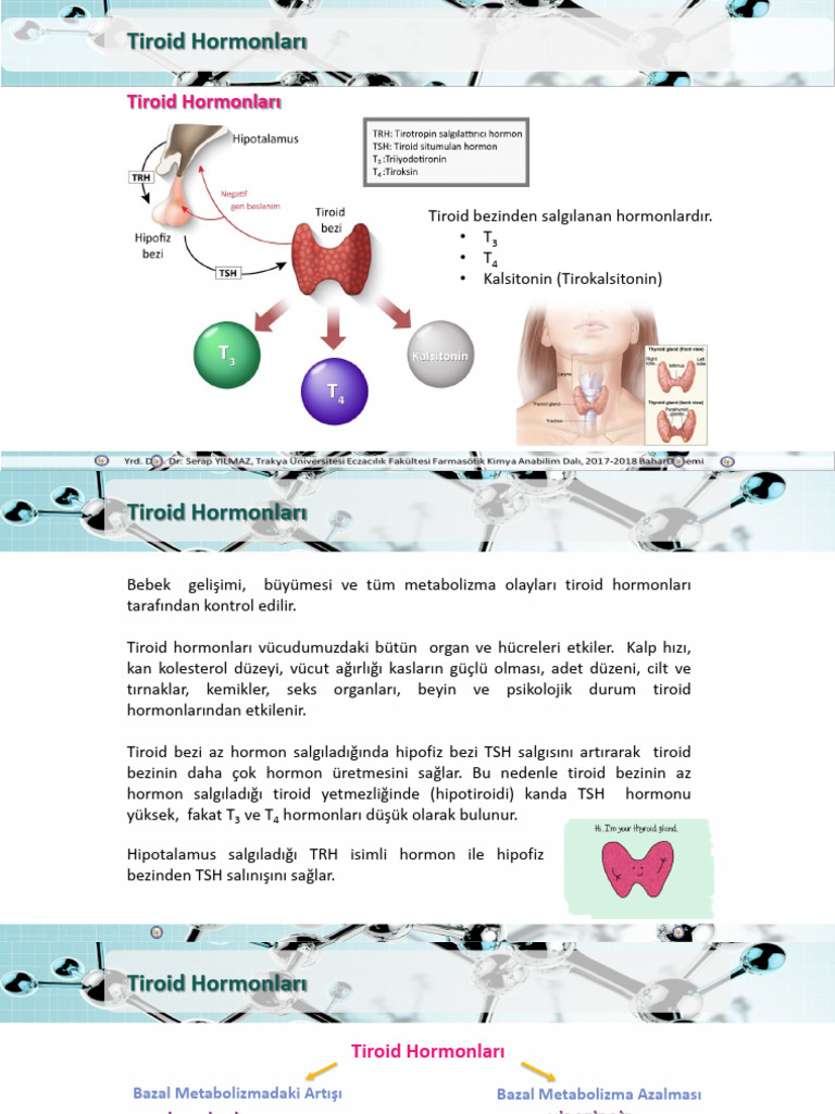 12) Tiroid Hormonları | PDF