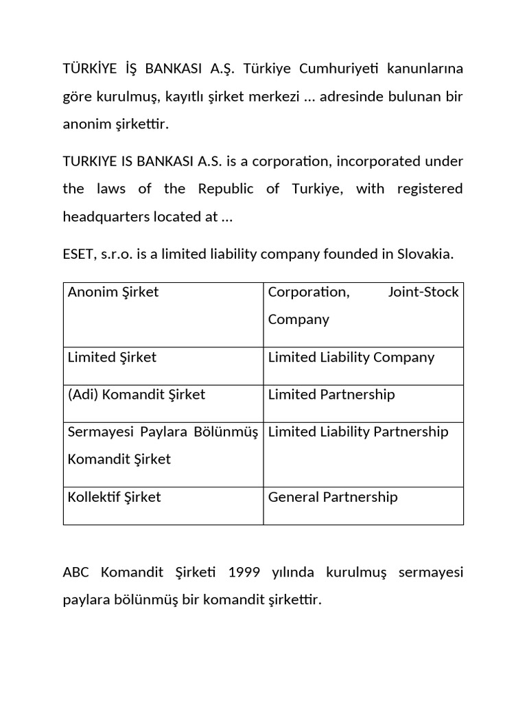 Sirket Turleri | PDF