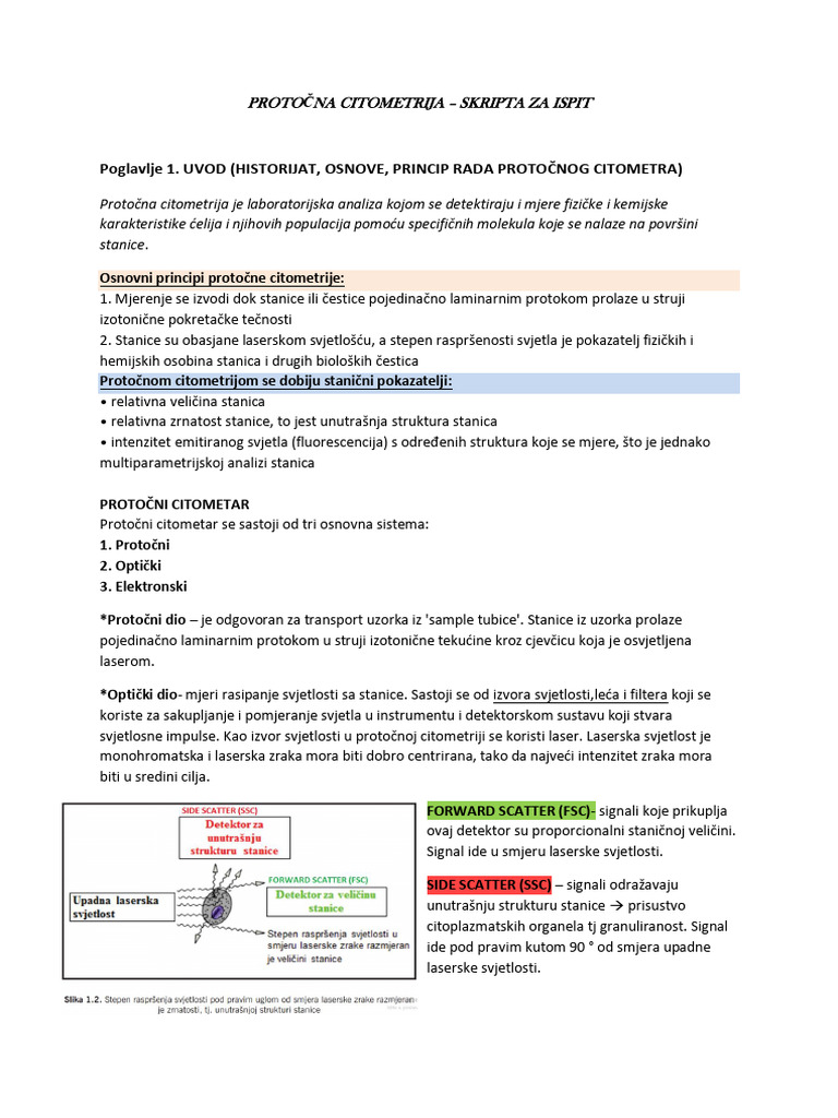 Skripta Iz Protočne | PDF