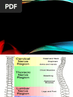 Neurological Exam Checklist Dog | PDF | Neurology | Neuroscience