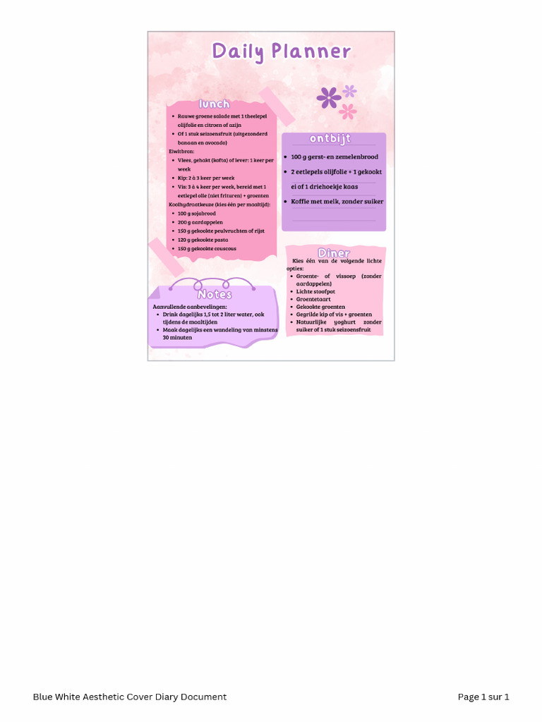 Blue White Aesthetic Cover Diary Document | PDF