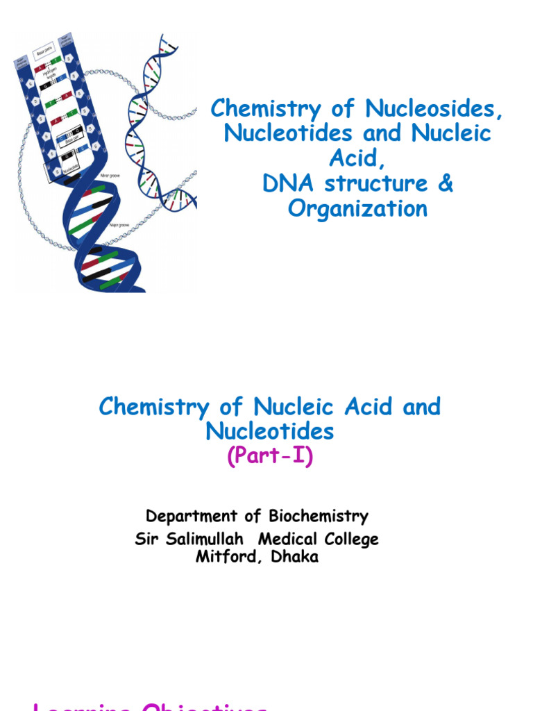 Introduction to Nucleic Acid | PDF | Nucleotides | Nucleic Acids