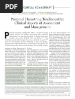 Askling Protocol | PDF | Physical Therapy | Knee