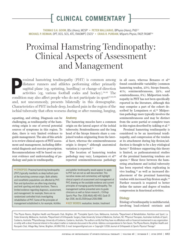 Proximal Hamstring Tendinopathy Review | PDF | Hormone Replacement ...