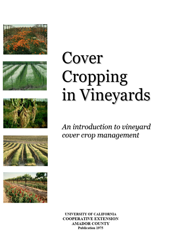 Vineyard Cover Crop Management Guide | PDF | Fertilizer | Soil