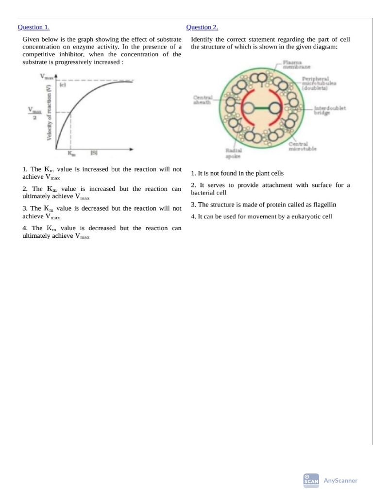 Bio FST 01 (Diagram Based) by @neetoxphillic | PDF