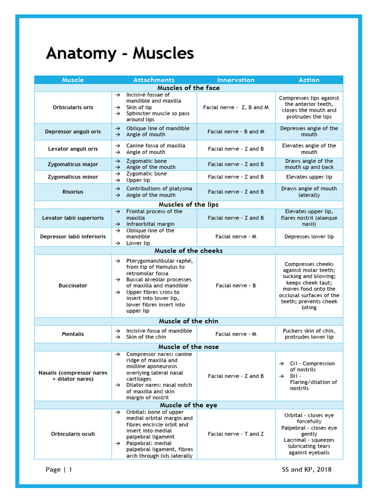 AHN - Muscles | PDF | Tongue | Neck