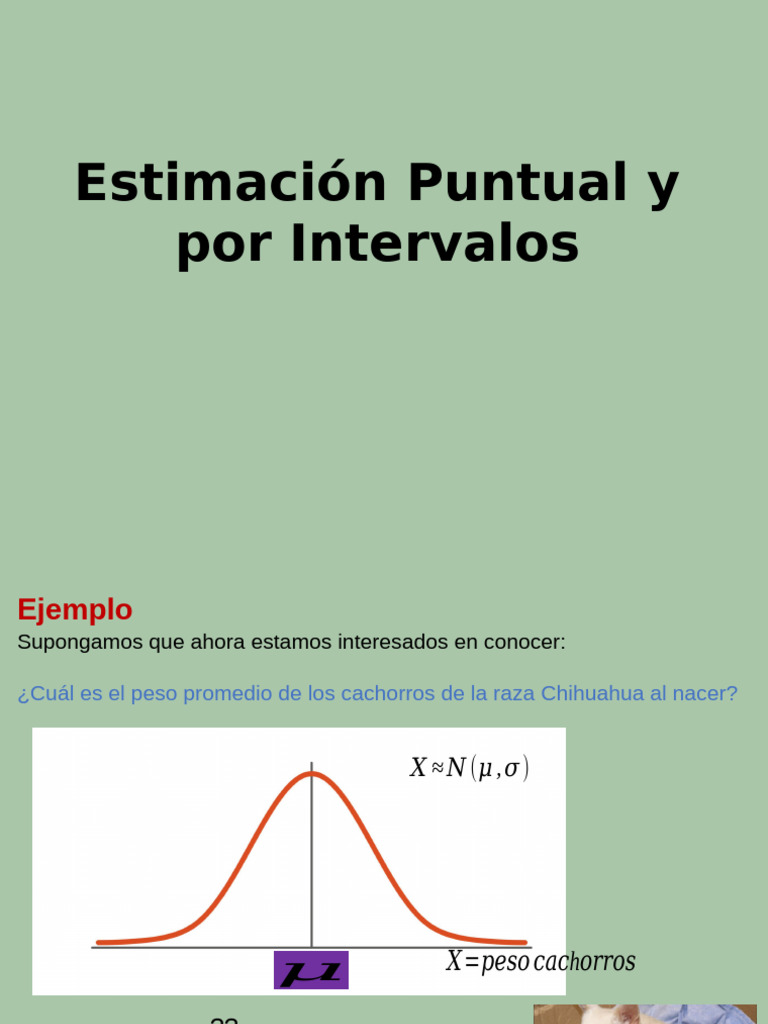 Te5 Estimacion Puntual y Por Intervalos 2025 150211715883 | PDF ...