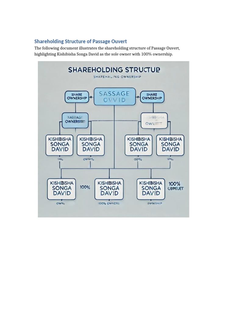 Shareholding_Structure_Passage_Ouvert | PDF