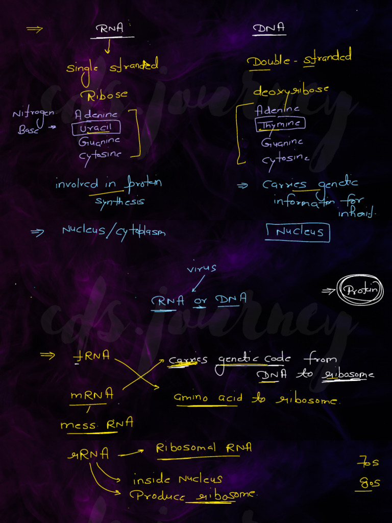 thode high level bio concepts | PDF
