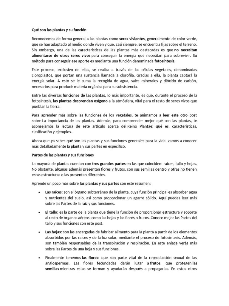 Qué Son Las Plantas y Su Función | PDF | Plantas | Fotosíntesis