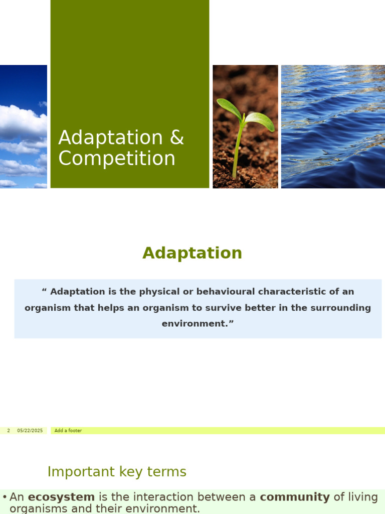 Ecosystem Adaptation and Competition Insights | PDF | Ecosystem | Predation